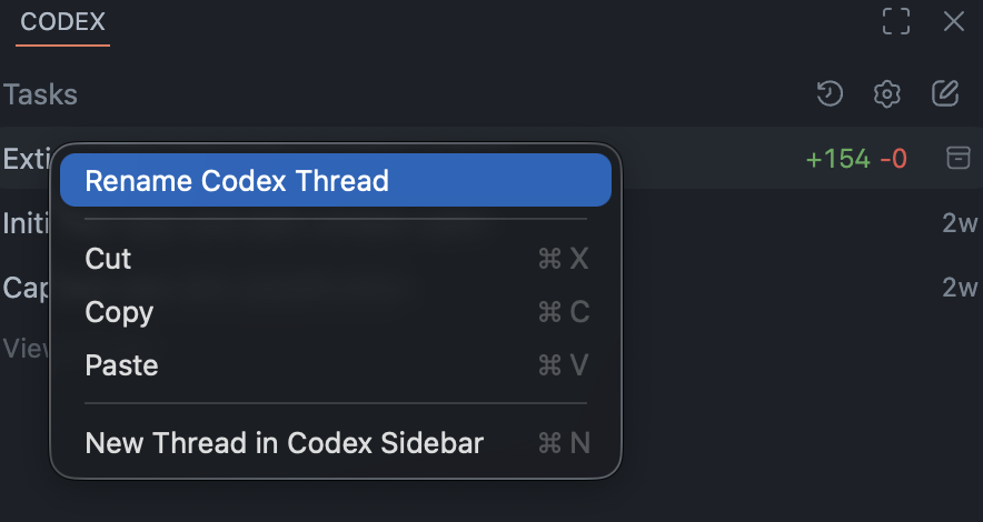 Codex Thread Renamer Patcher for VS Code | Document Hub | The Boring Cat